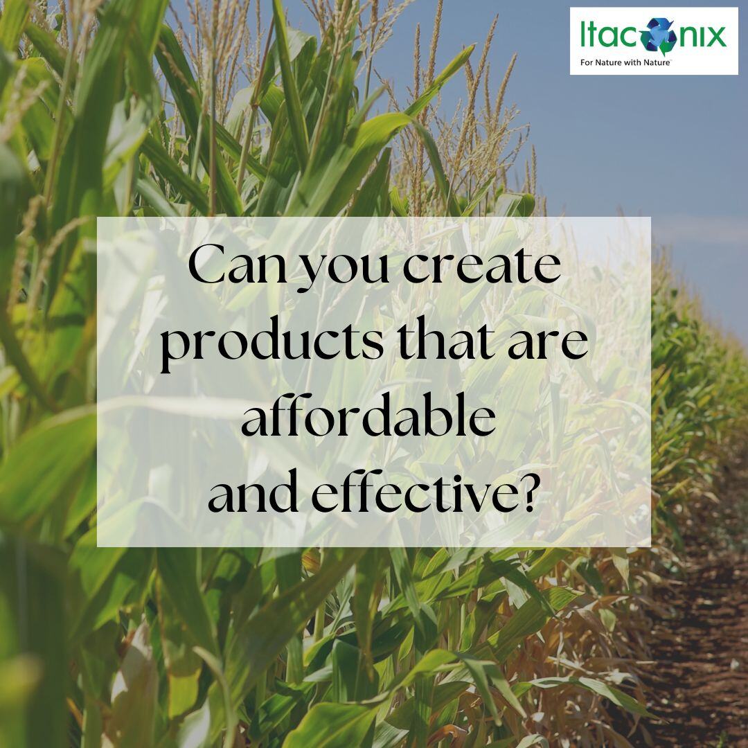 Eliminating Costly Components - Itaconix Cost-Effective Solutions